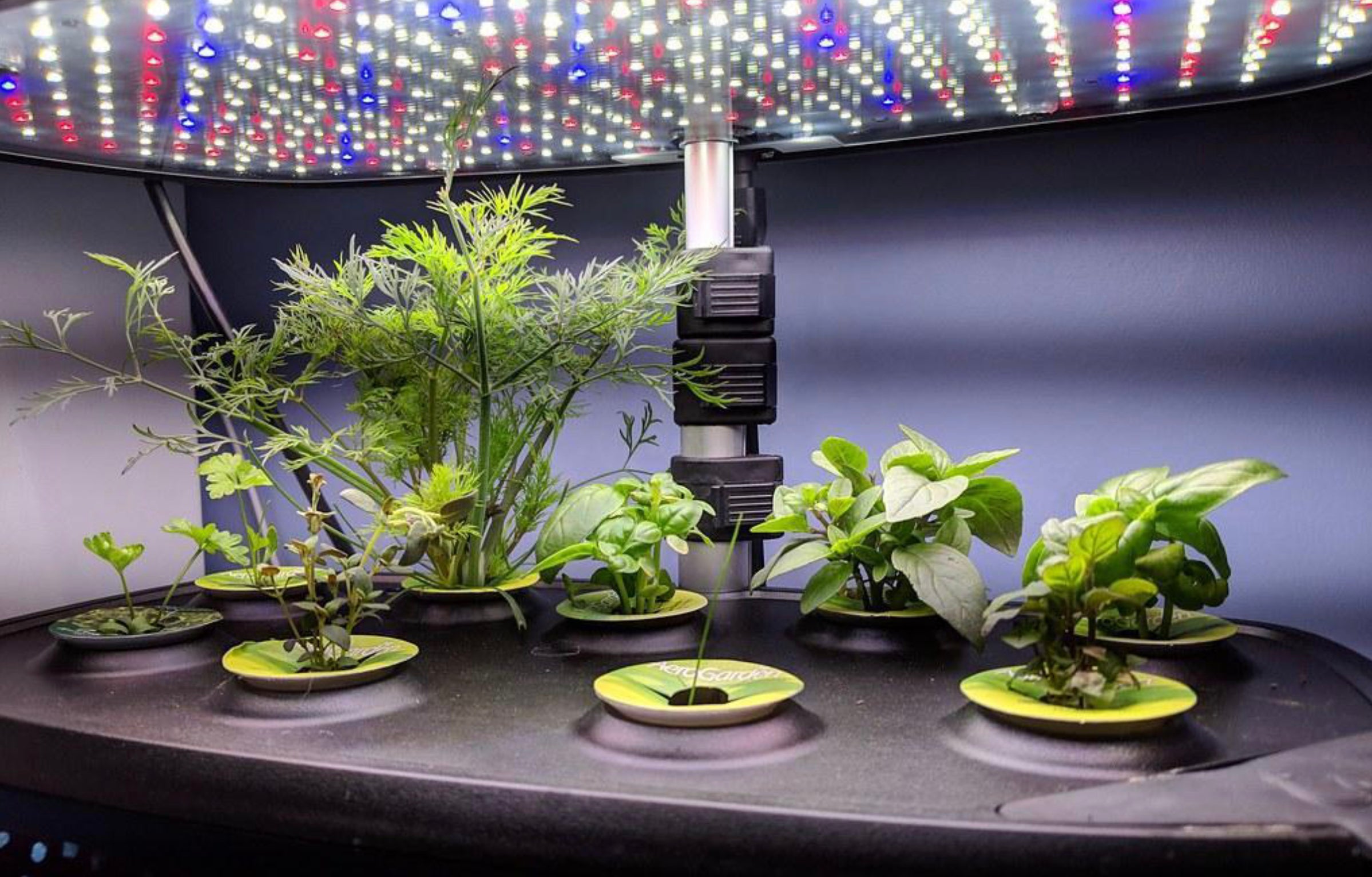 LED Grow Light Kits for Your Hydroponic Garden – Proponics