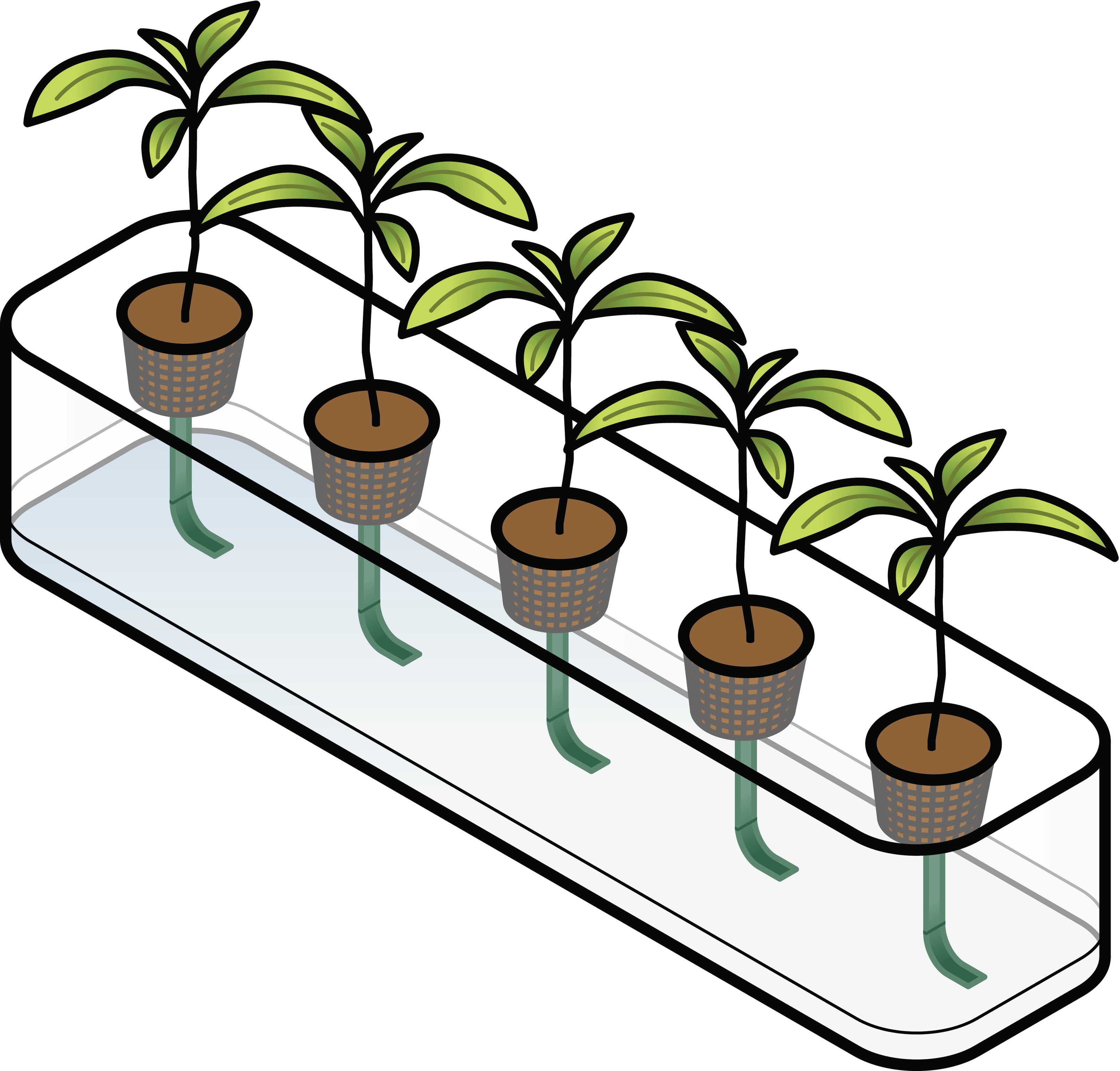 Wick System Hydroponics Explained and How to Build – Proponics
